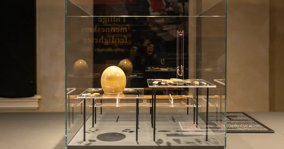 University Museum of Bergen - ‘WONDERS of DIVERSITY’ - Hypsos EN